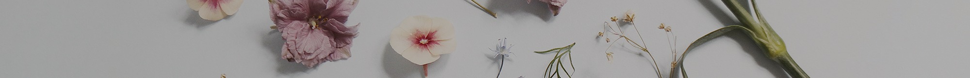 ABOUT | petale vert【ペタルヴェール】